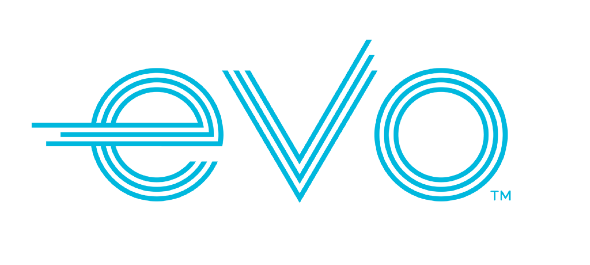 ISSofBC | Immigrant Services Society of BC